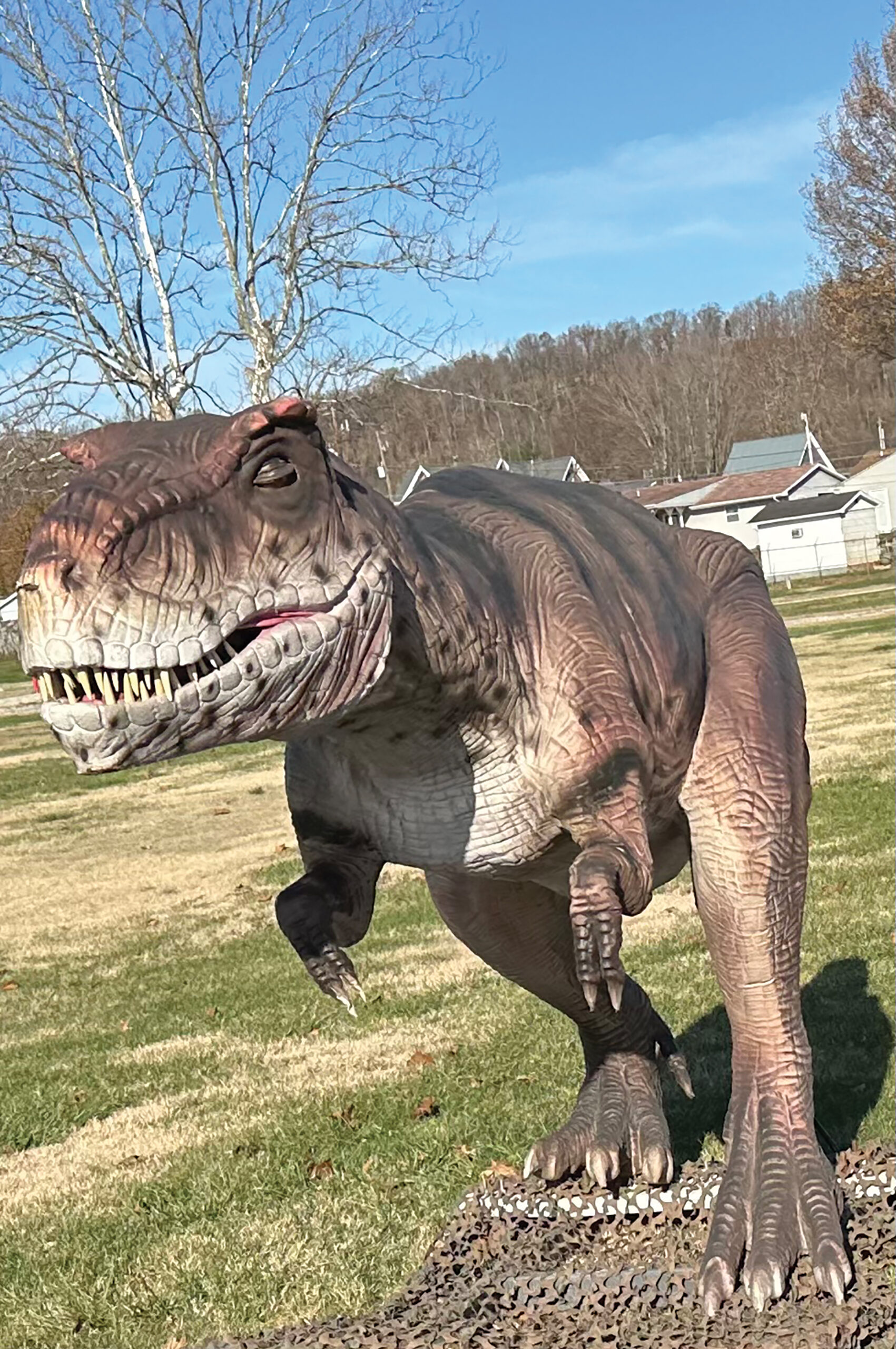 Fairgrounds hosts dinosaur drive-thru | The Tribune