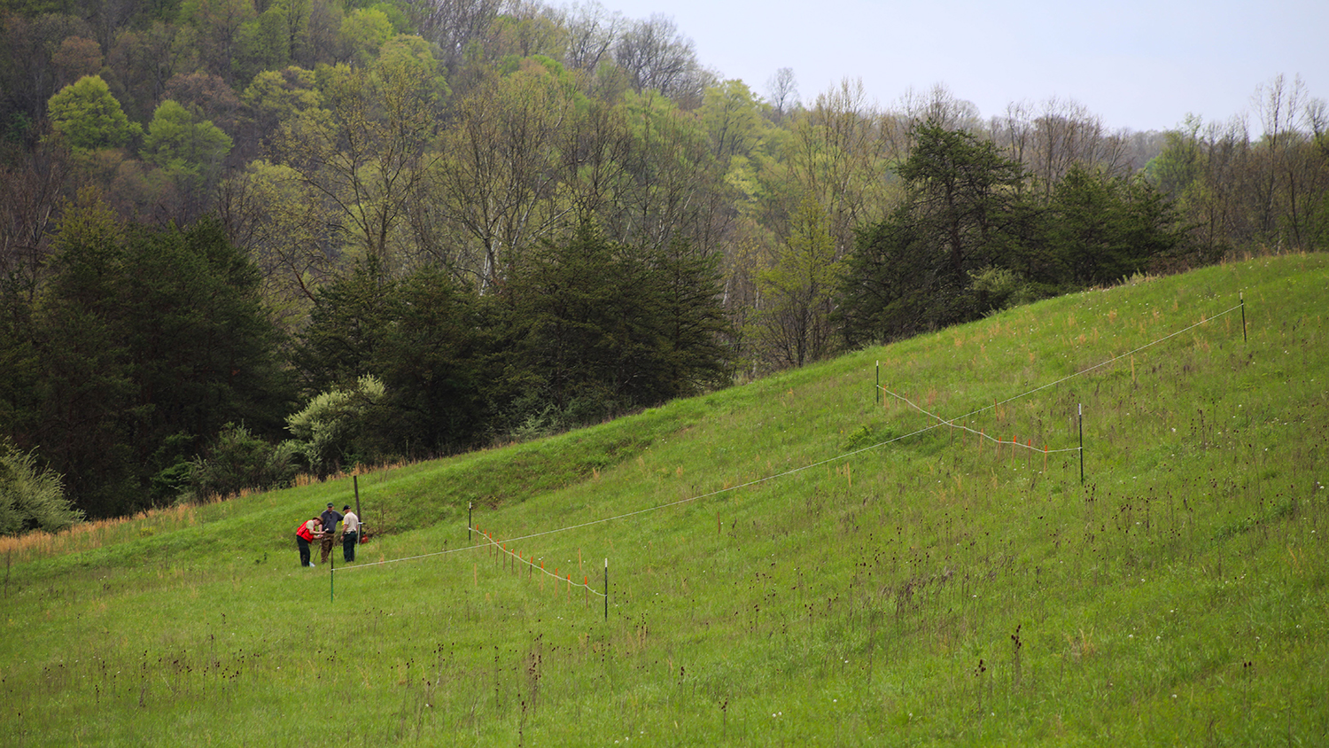 WNF closes Timbre Ridge Lake for dam repairs | The Tribune
