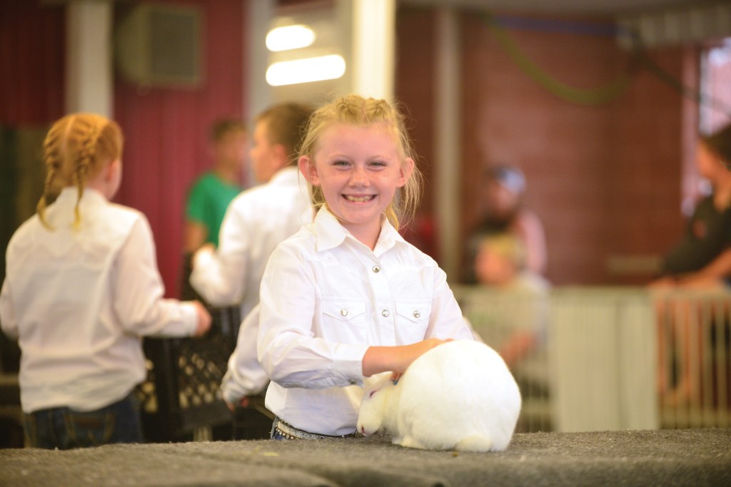 4-H and FFA Rabbit Showmanship and Breeding Rabbits (WITH GALLERY ...