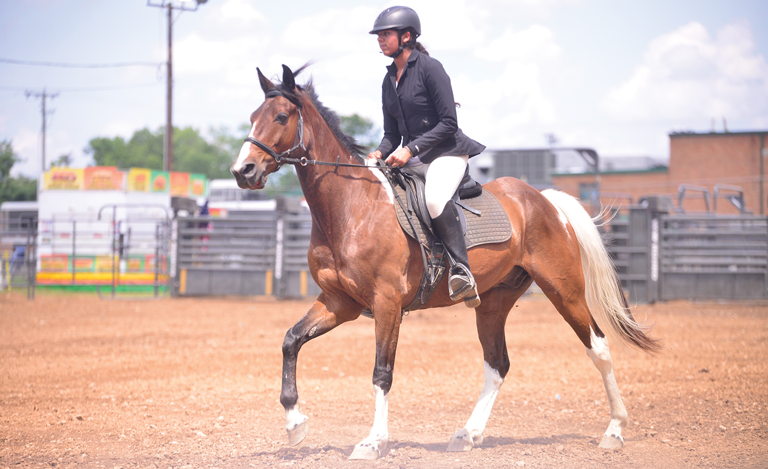 4-H and FFA horse show | The Tribune