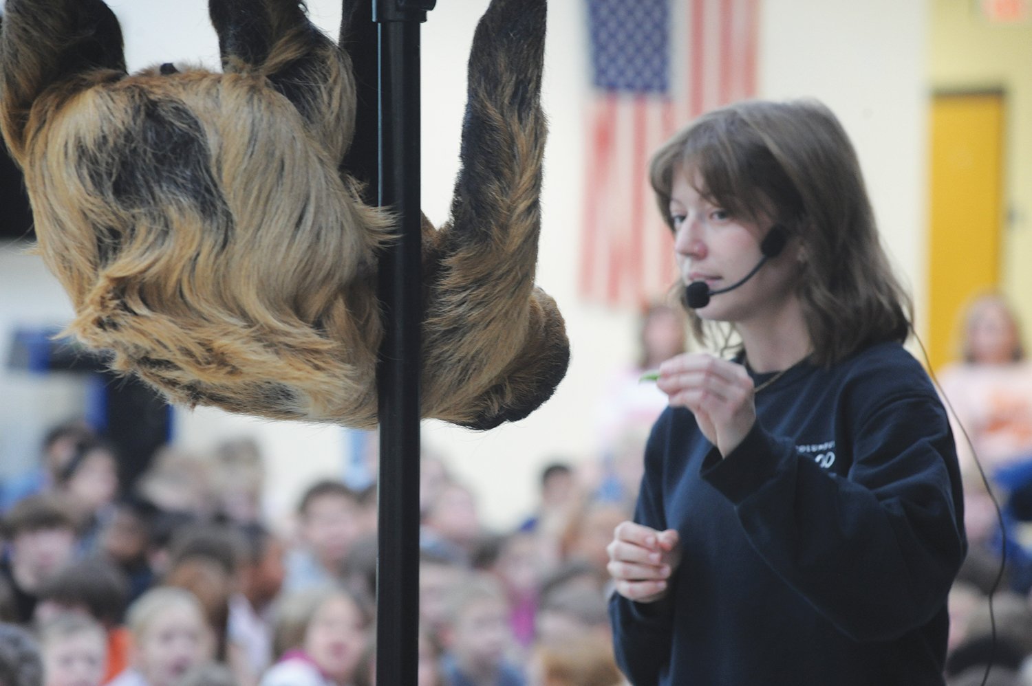 Columbus Zoo coming to library | The Tribune